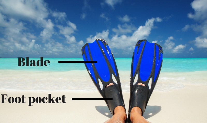 An Easy Guide to Buying the Best Snorkeling Gear – Settle Outdoor